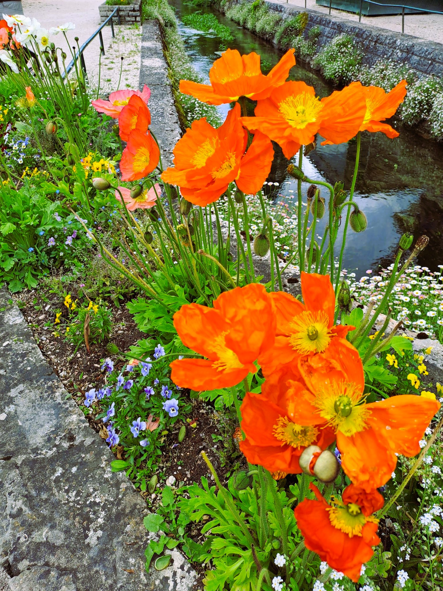 Susy Vauthier-Porret - Pompes Funèbres Burgat